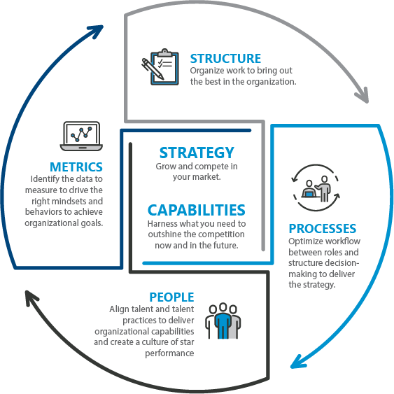 Organization Design Solutions | GP Strategies